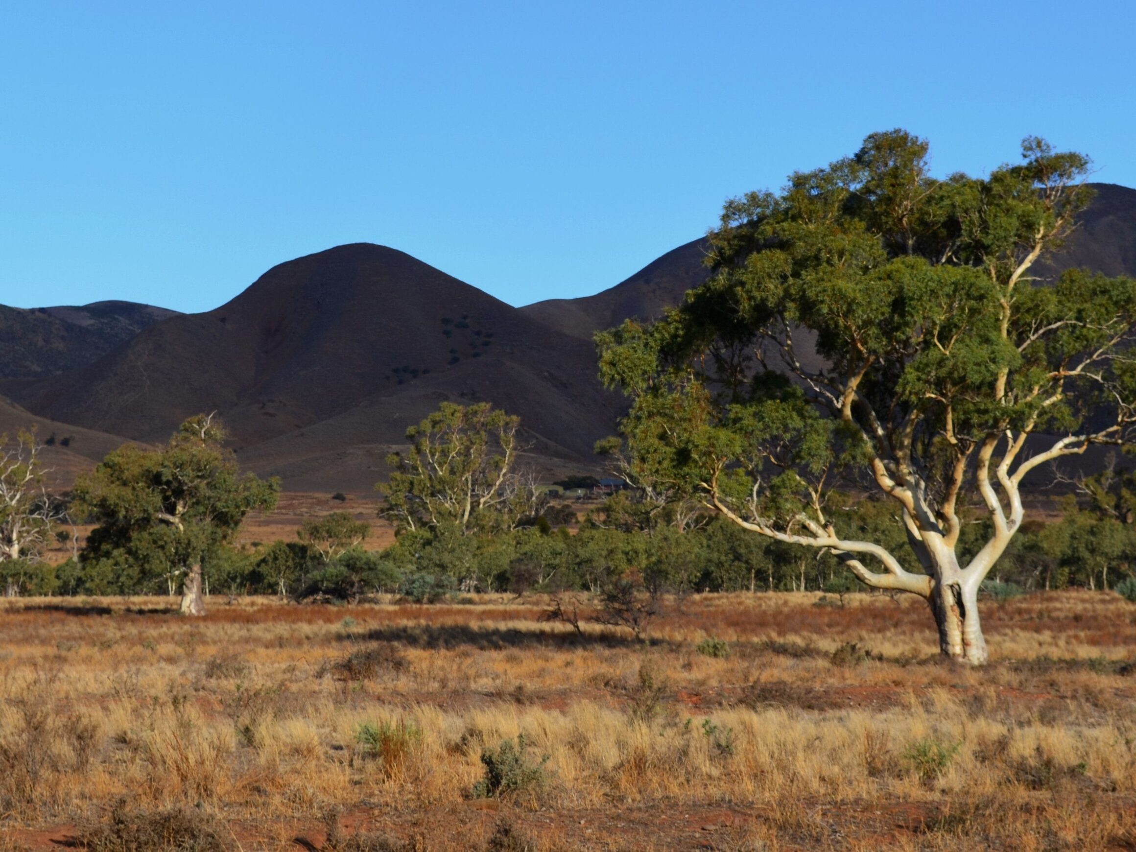 Bridle Track to reopen - Pat Callinan's 4X4 Adventures