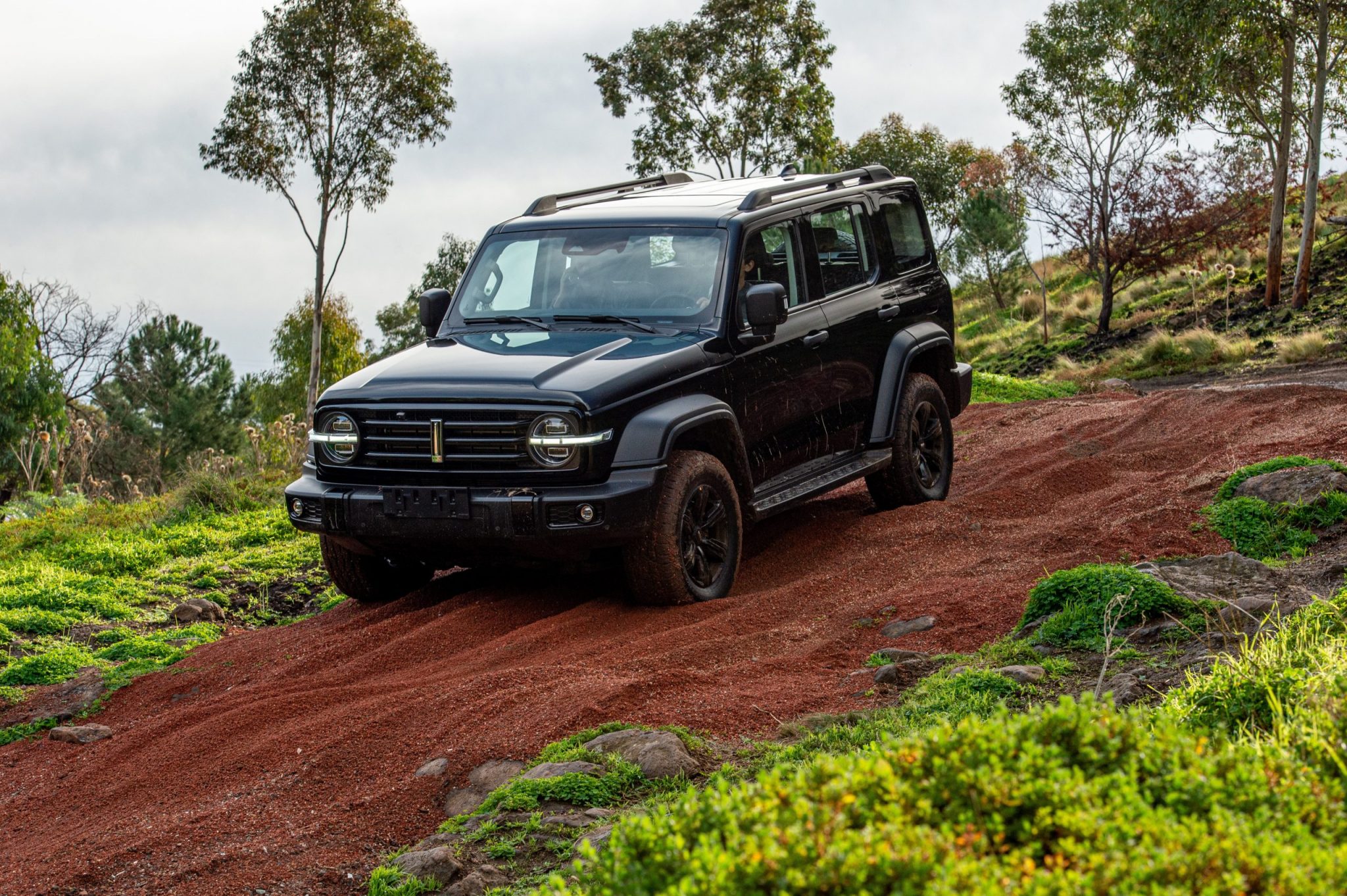 GWM Tank 300: should GWM bring a budget twin-locked wagon to Australia ...