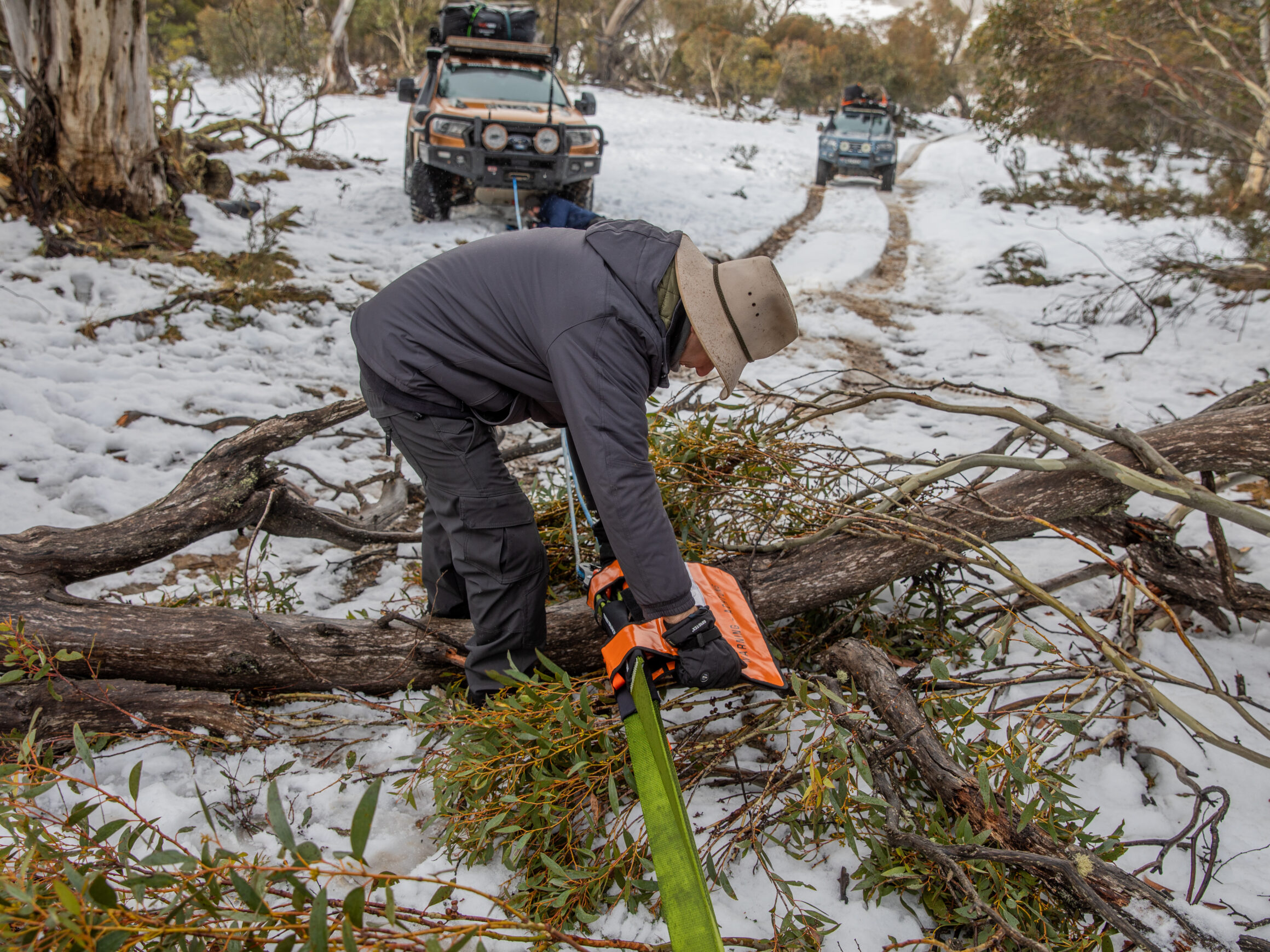 Engel's Outback Gourmet: Pat's Protein Pancake Recipe - Pat Callinan's ...