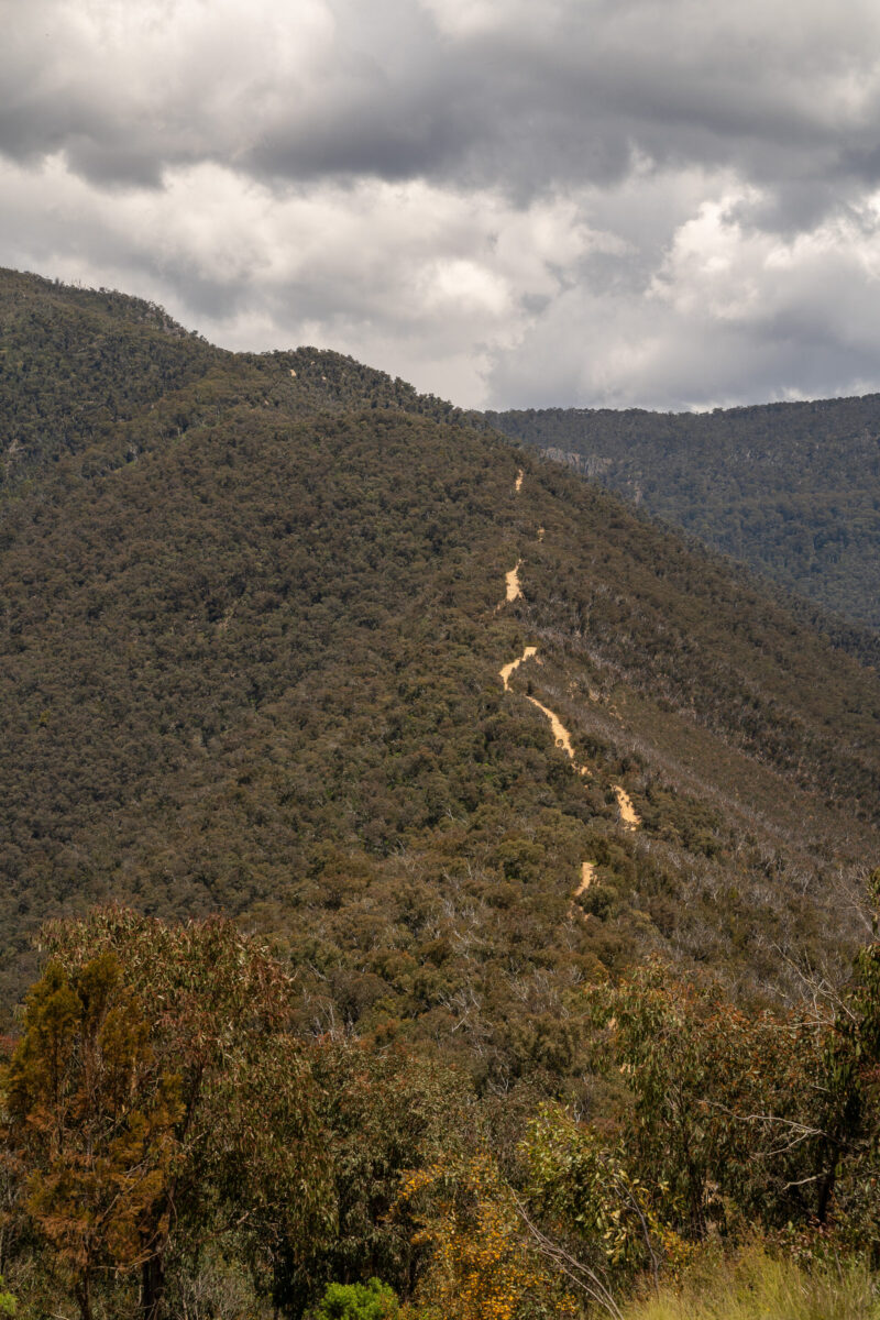 Billy Goat Bluff Gets Graded: What You Need to Know - Pat Callinan's ...