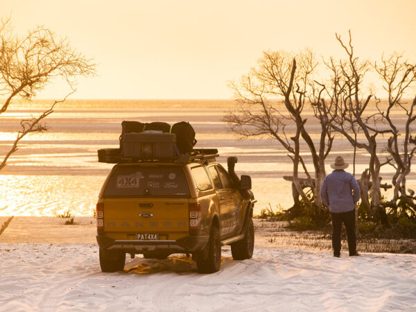 Wild Brumby Cull in Kosciuszko National Park - Pat Callinan's 4X4 ...