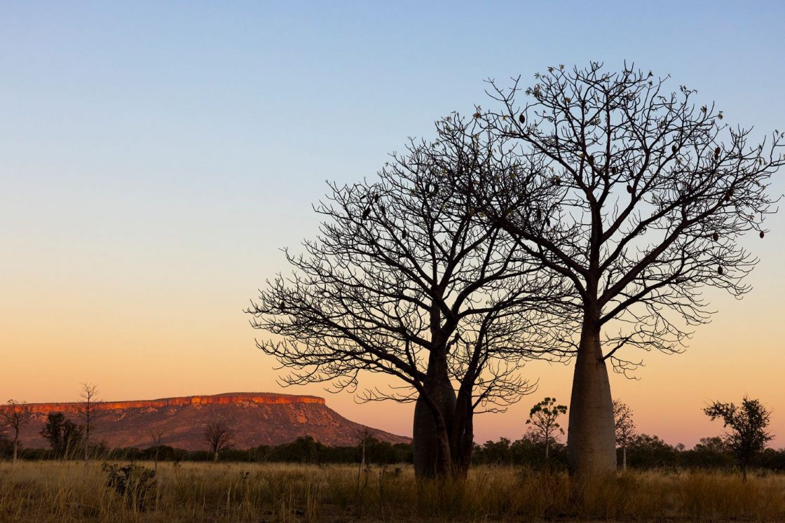 Top spots to camp on the Gibb River Road