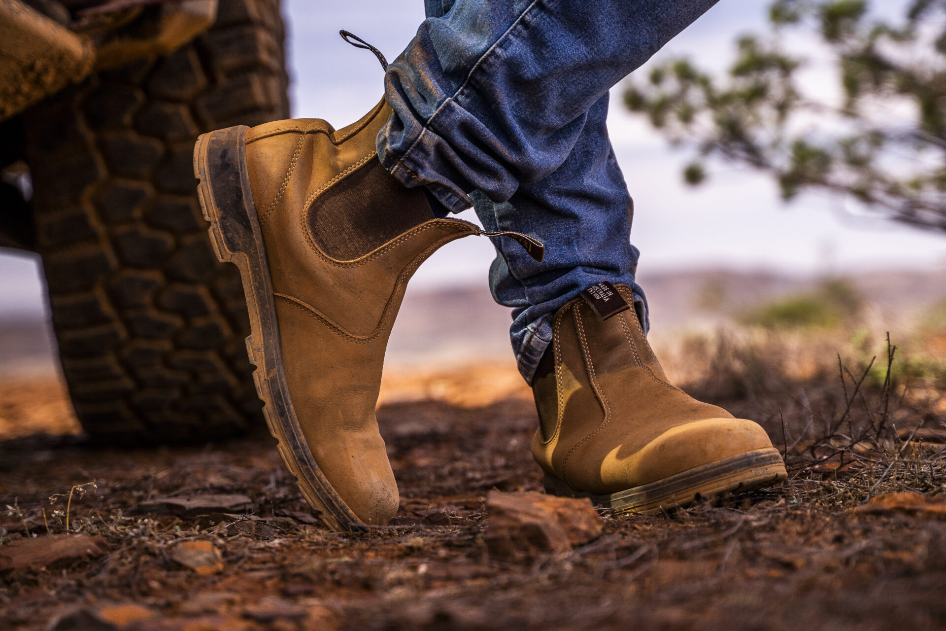 Mongrel Offers a New Design for the Outback - Pat Callinan's 4X4 Adventures