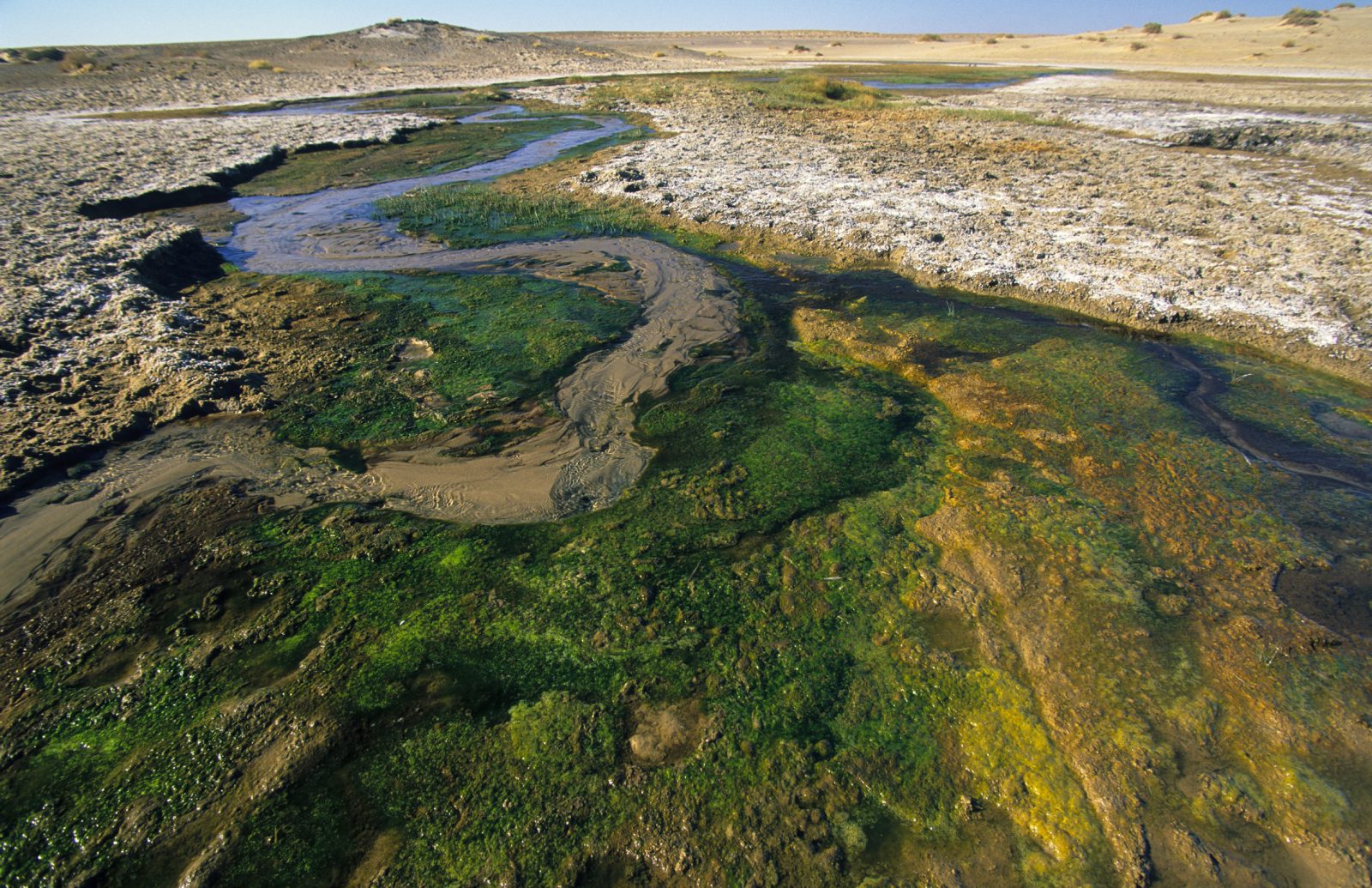 Outback Queensland is changing - Pat Callinan's 4X4 Adventures