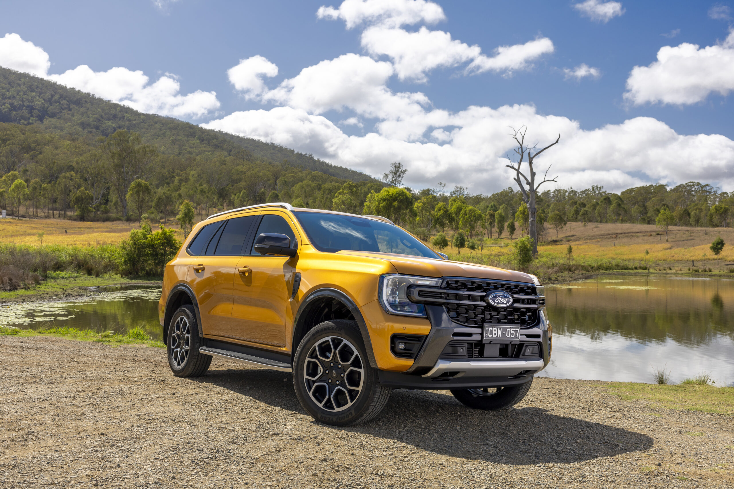 Ford Ups The Ante With Limited Run Wildtrak Everest - Pat Callinan's ...