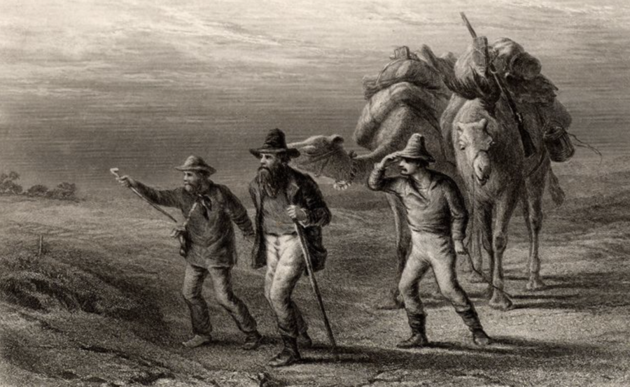 The Tragic, Beautiful Madness of the Burke and Wills Expedition - Pat ...