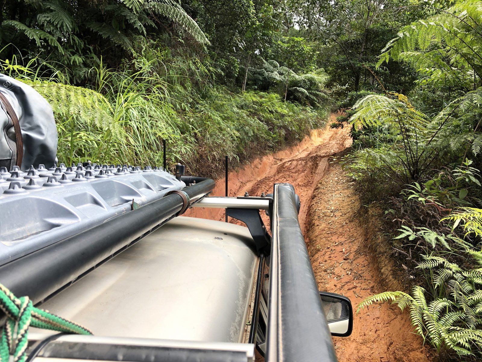 Travel: The Creb - Bloomfield Track Loop - Pat Callinan's 4X4 Adventures