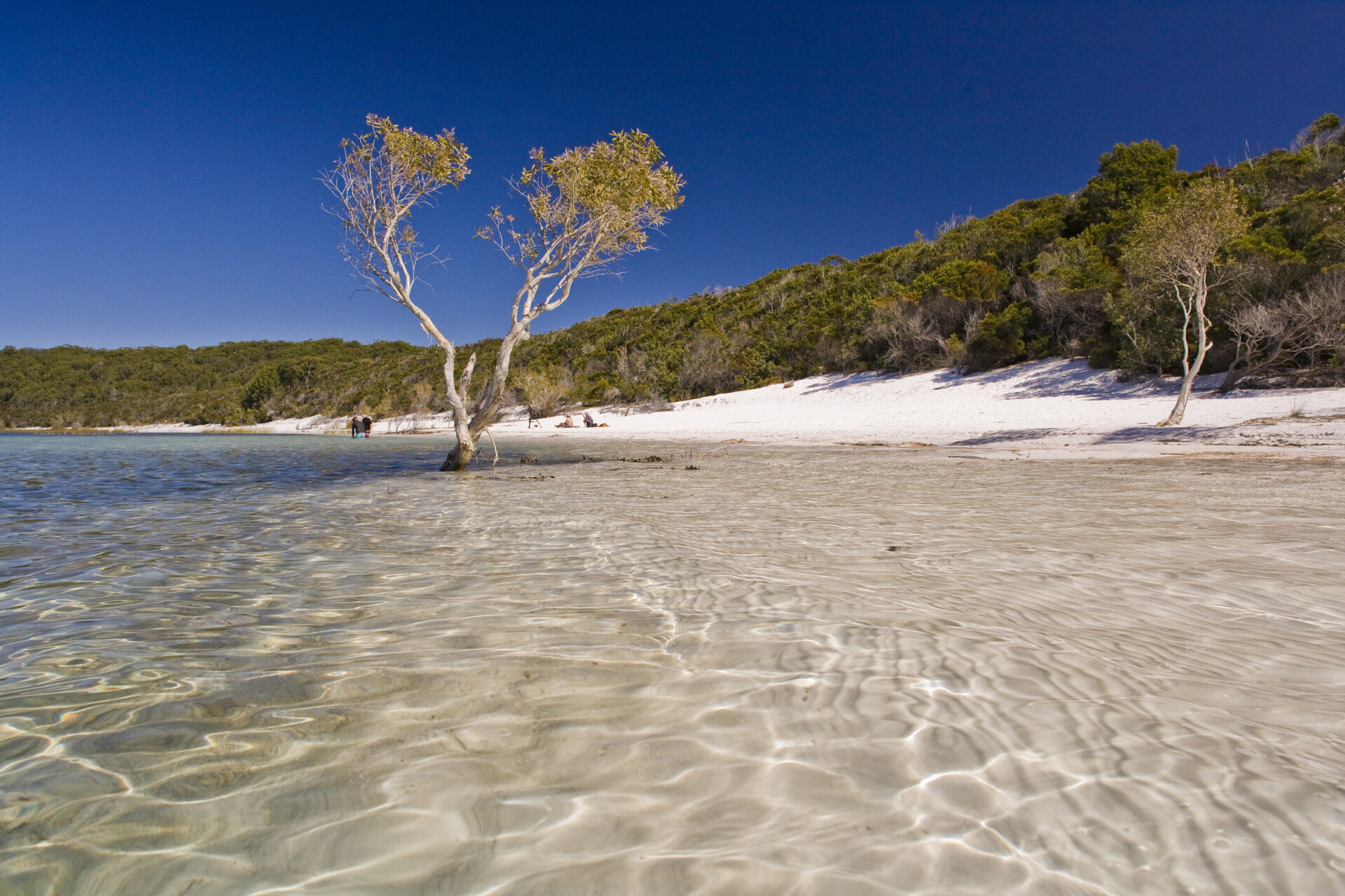 What To Do This Summer On K’Gari - Pat Callinan's 4X4 Adventures