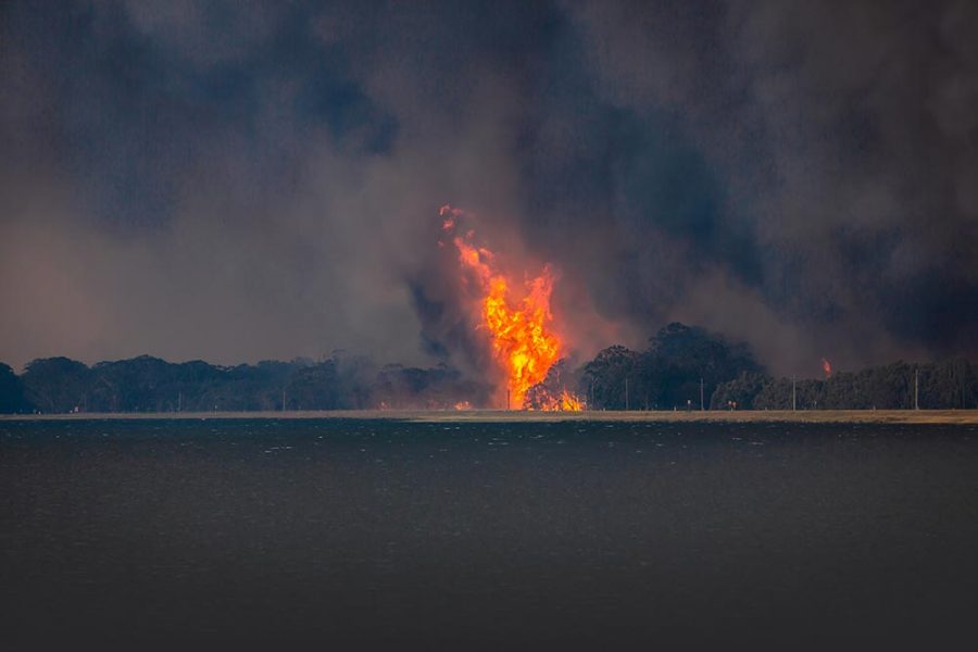 How to survive a bushfire when camping - Pat Callinan's 4X4 Adventures